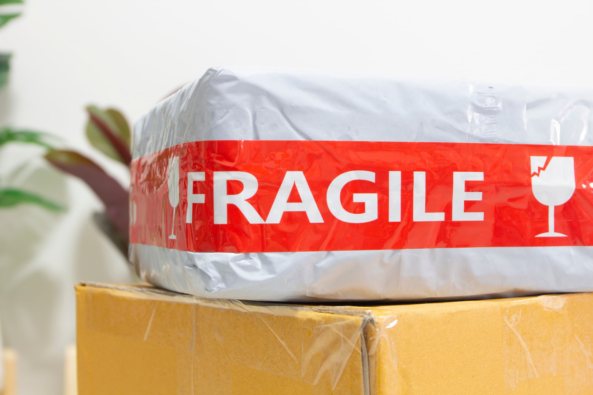 Shipping Fragile Cargo By Truck | A1 Freight Solutions